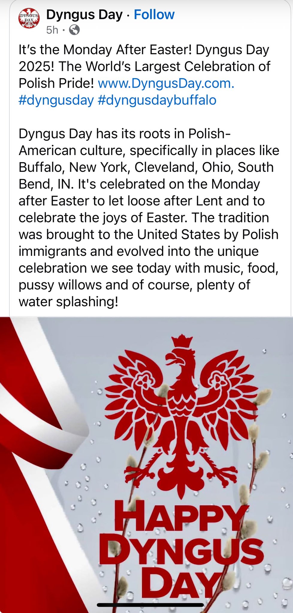 German Irish American Culture