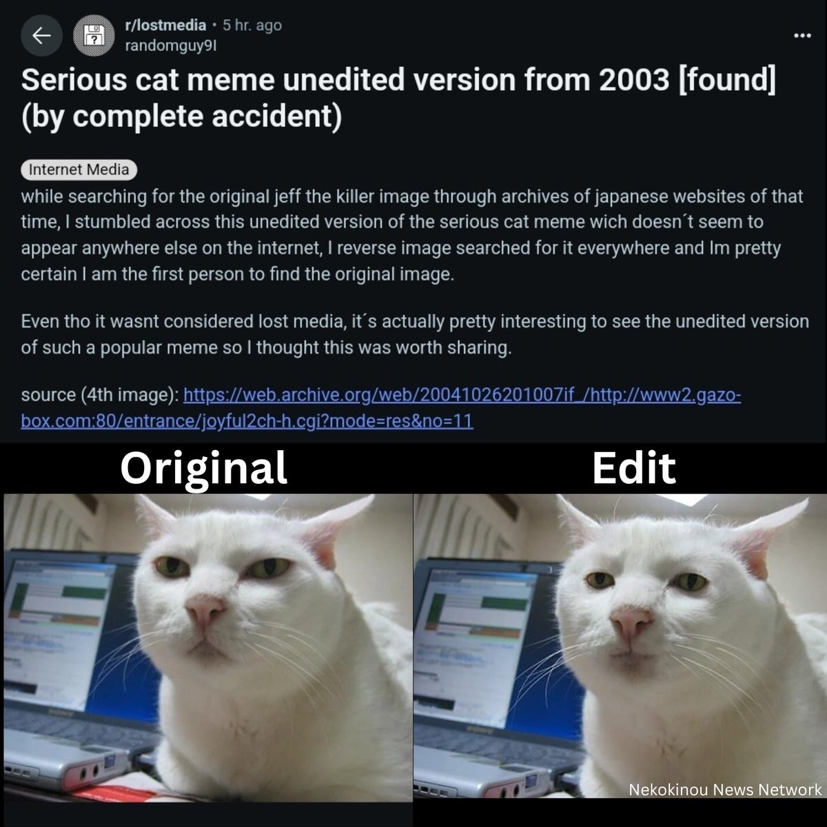 Searching Cat Meme Drennon Davis (@drennondavis) Where Do I Go To