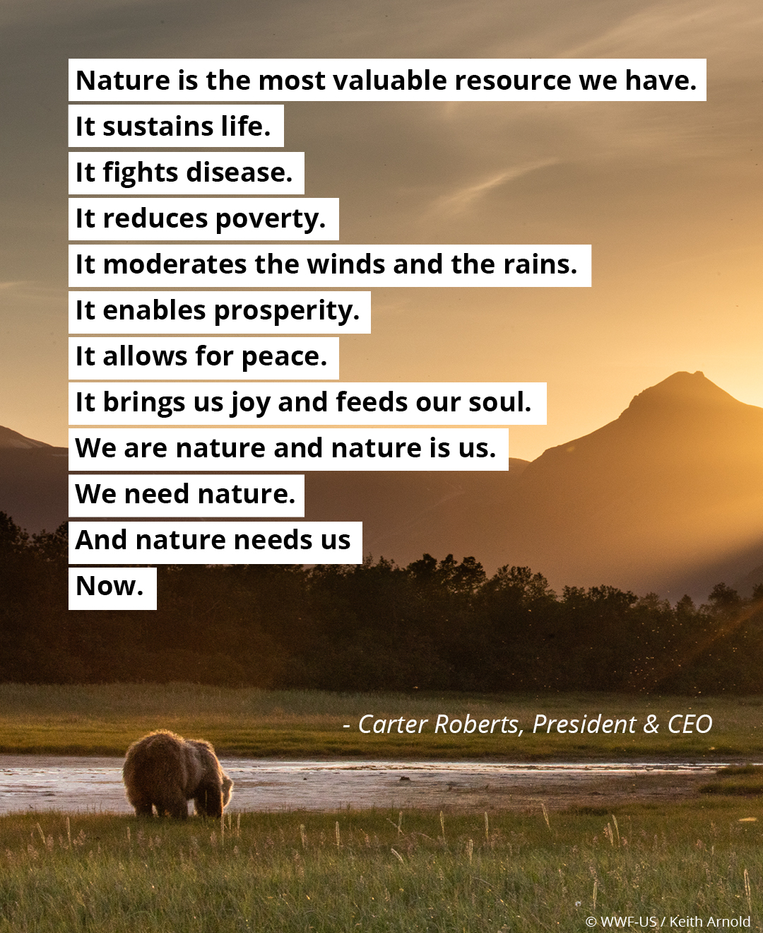 Wwf Wildlife Quotes
