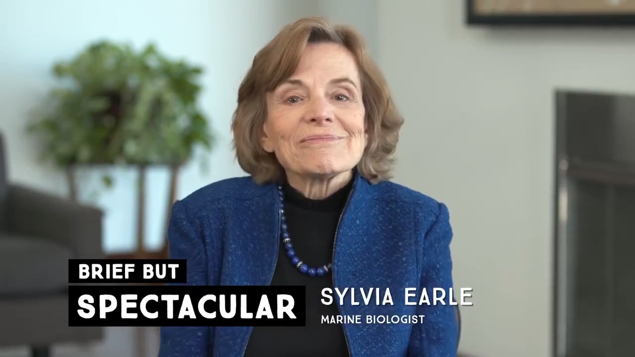 Sylvia Earle Marine Biologist Women In Science Sylvia Earle Poster
