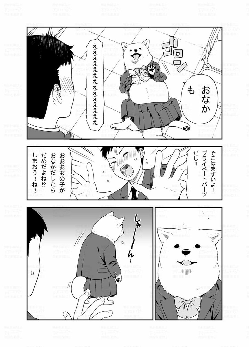 犬田さん@inuta_comicの漫画作品一覧