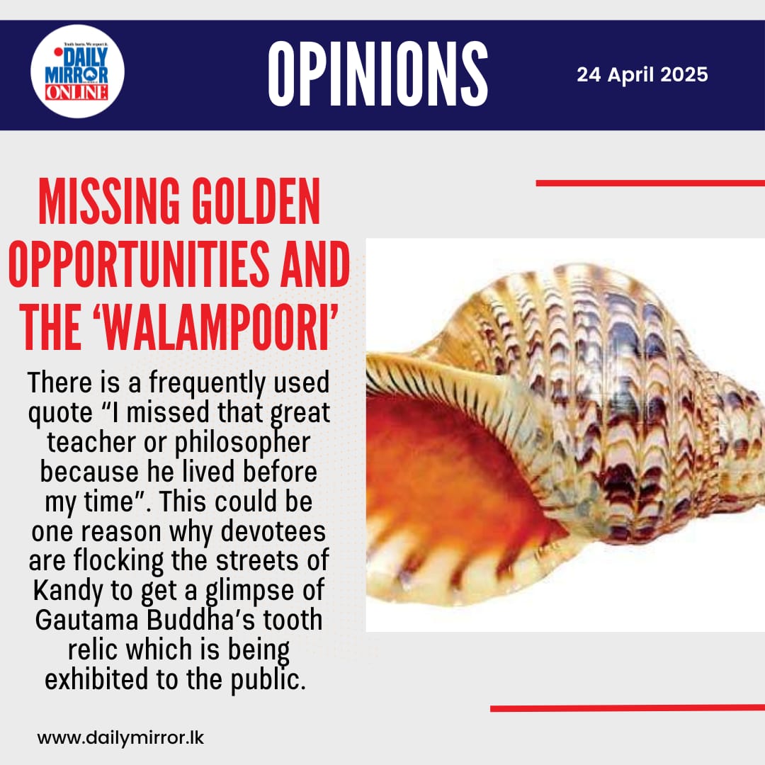 Conch Symbolism Quotes