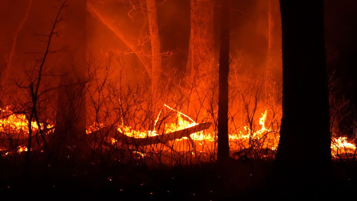 Second Teen, Joseph Kling Charged With Arson in Jones Road Wildfire ...