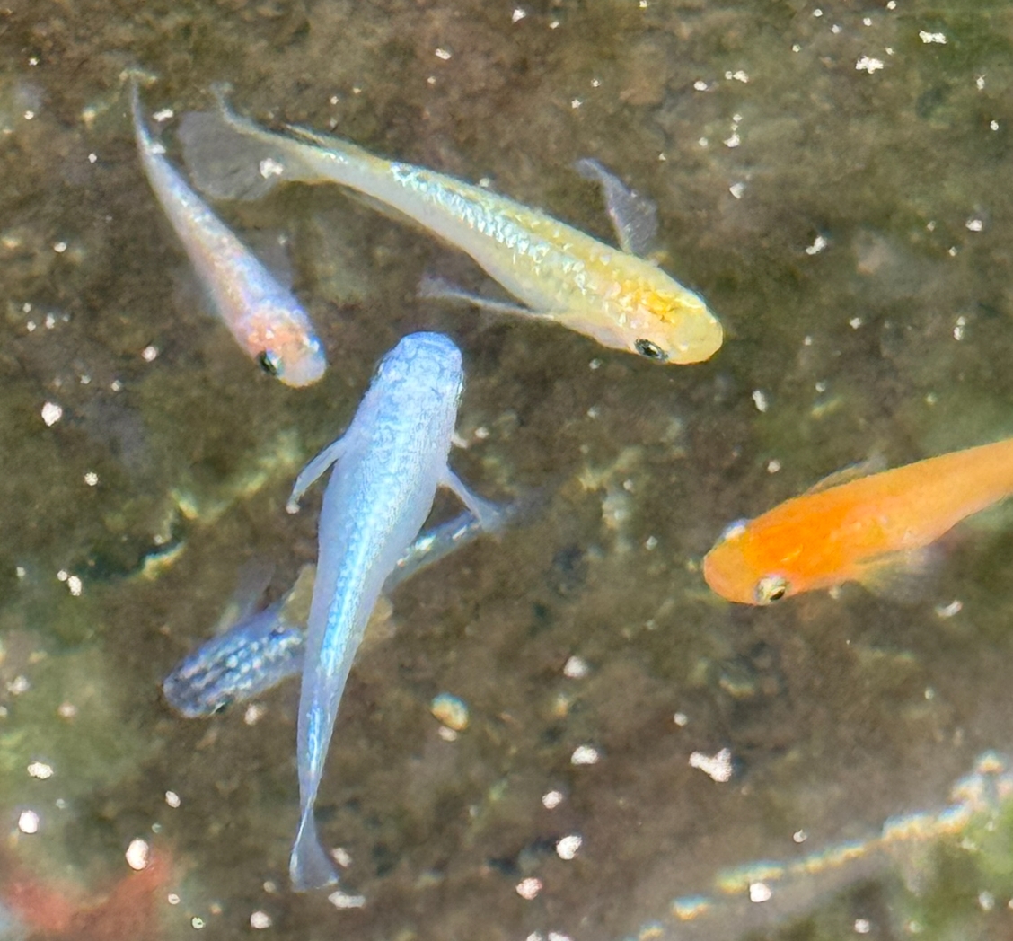 テク憧(@techdou) - Twilog (ツイログ)