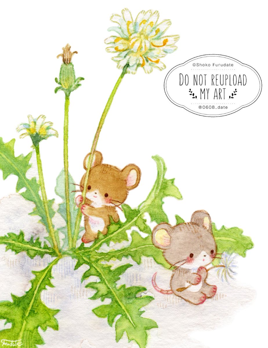 「もこもこ鳩ちゃん🍄 」だてちゃん＊COMITIA154【ひ62a】の漫画