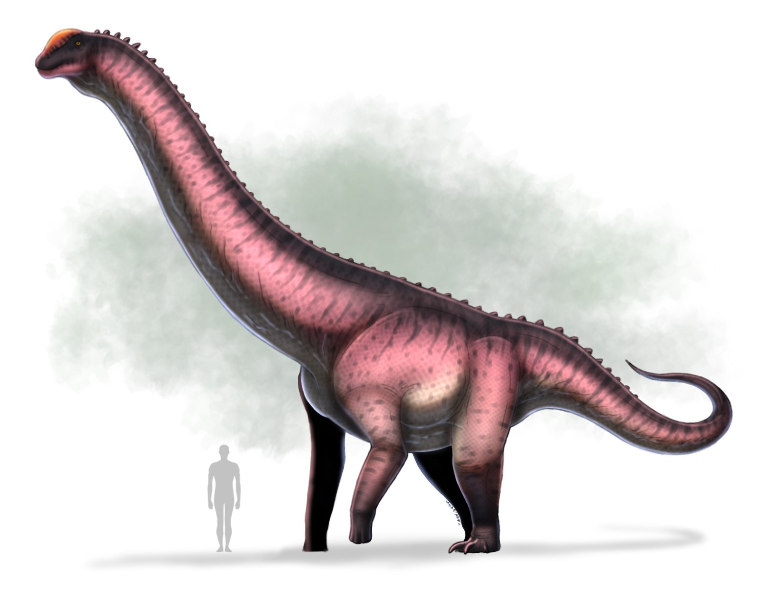 Futalognkosaurus