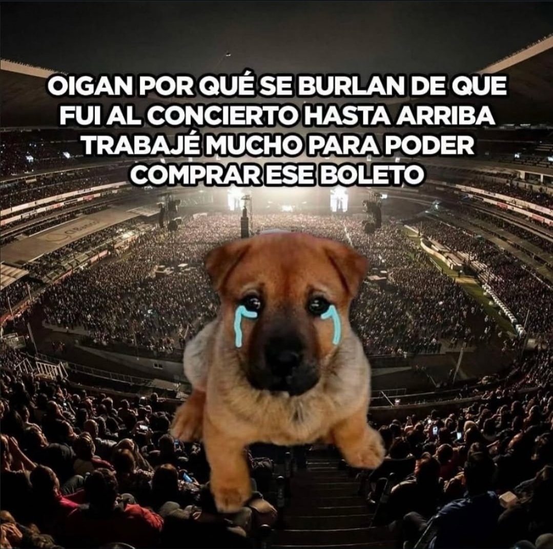 Memes Para Gente Amargada