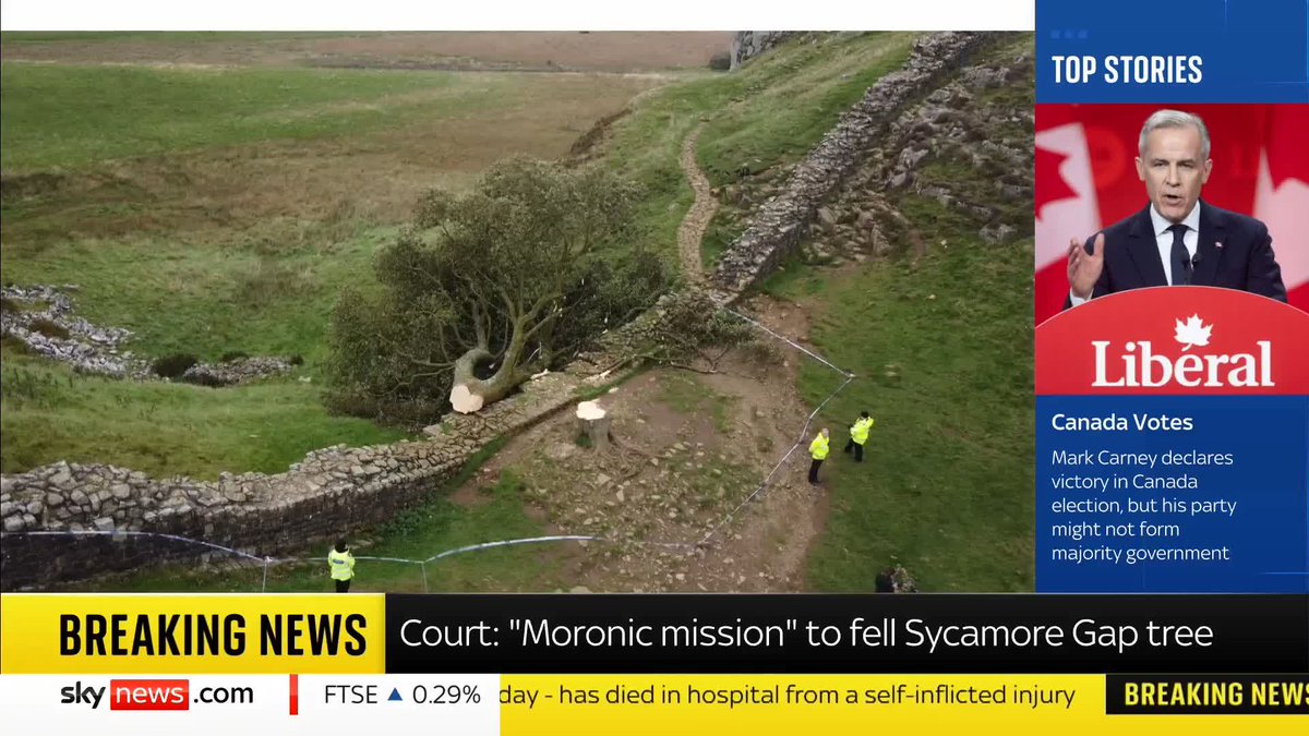 Two Men Filmed Themselves Using Chainsaw in 'Moronic Mission' to Fell ...