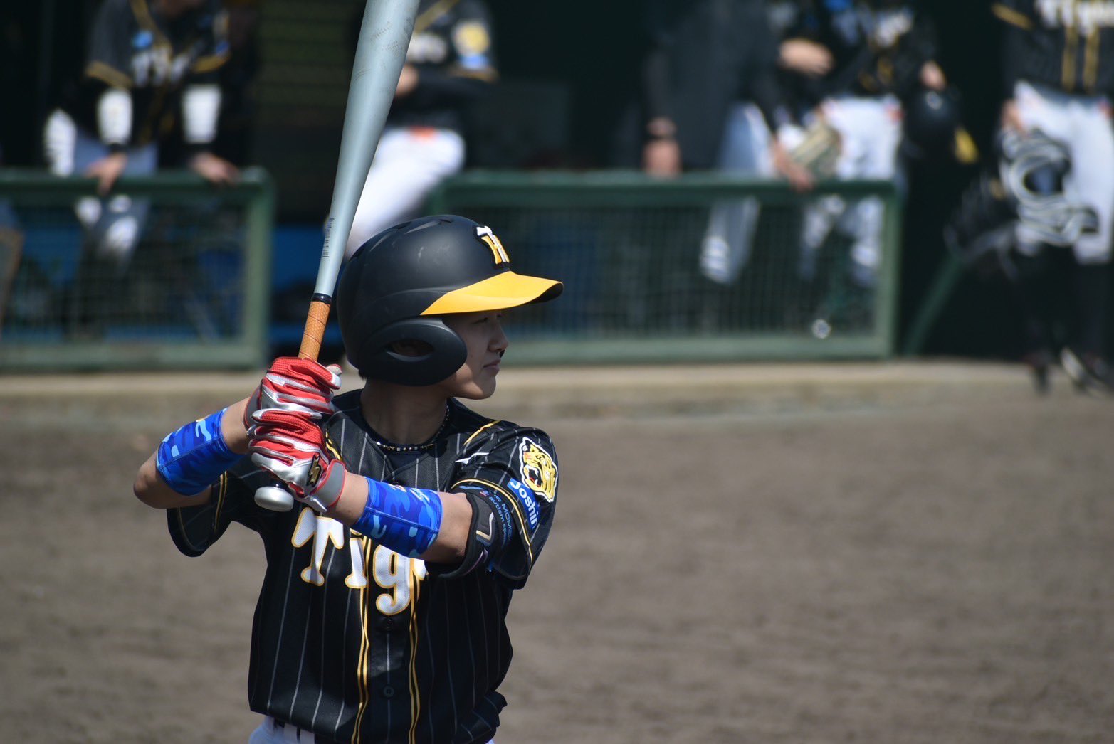 公式】阪神タイガース Women (@Tigers_Women) / X 公式】阪神タイガース Women (@Tigers_Women) / X