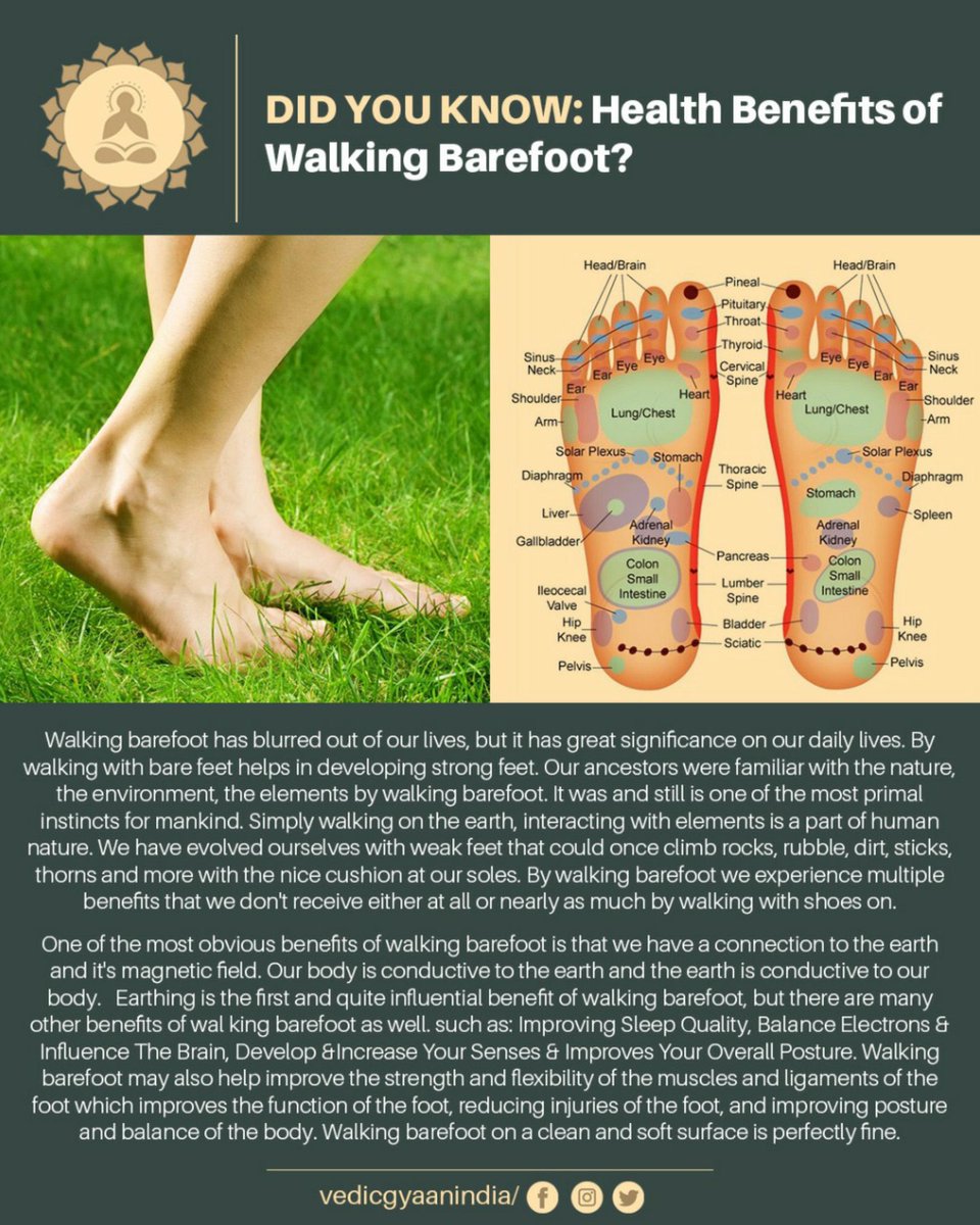 Thread by @juleshorn01 on Thread Reader App – Thread Reader App