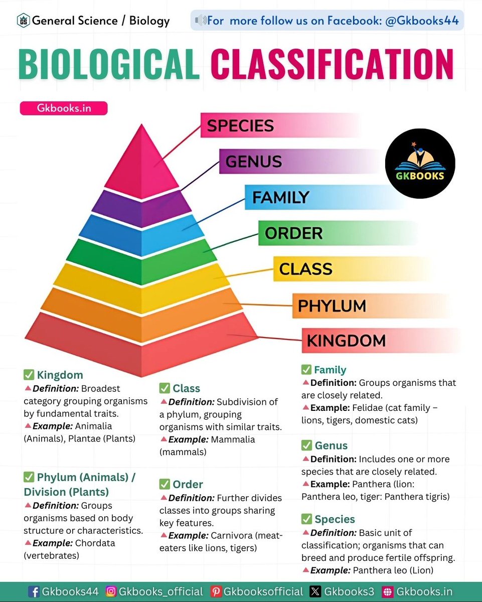 Classification Schemes Biodiversity And Classification