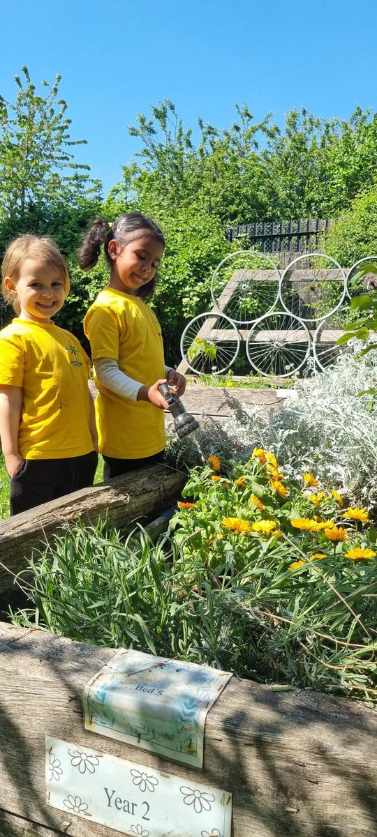 Southern Road Primary School – Strive, Resilience, Pride, Success