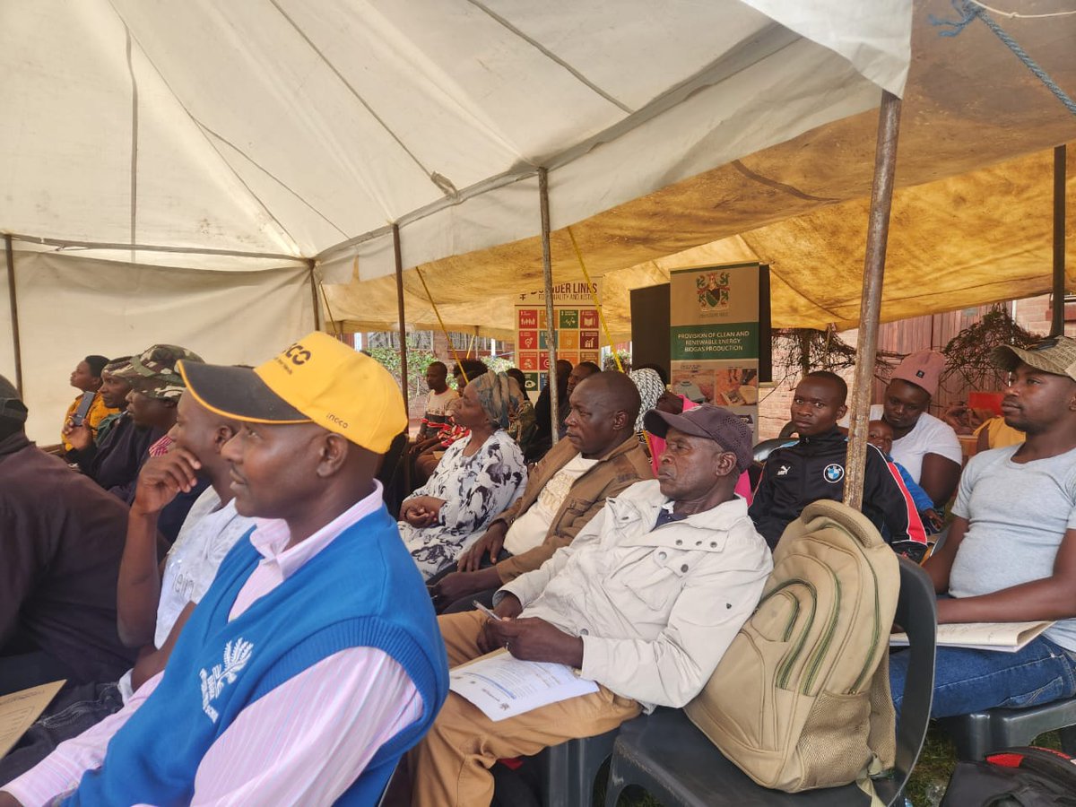 GBV in SADC: Progress, challenges, pushing forward - Gender Links