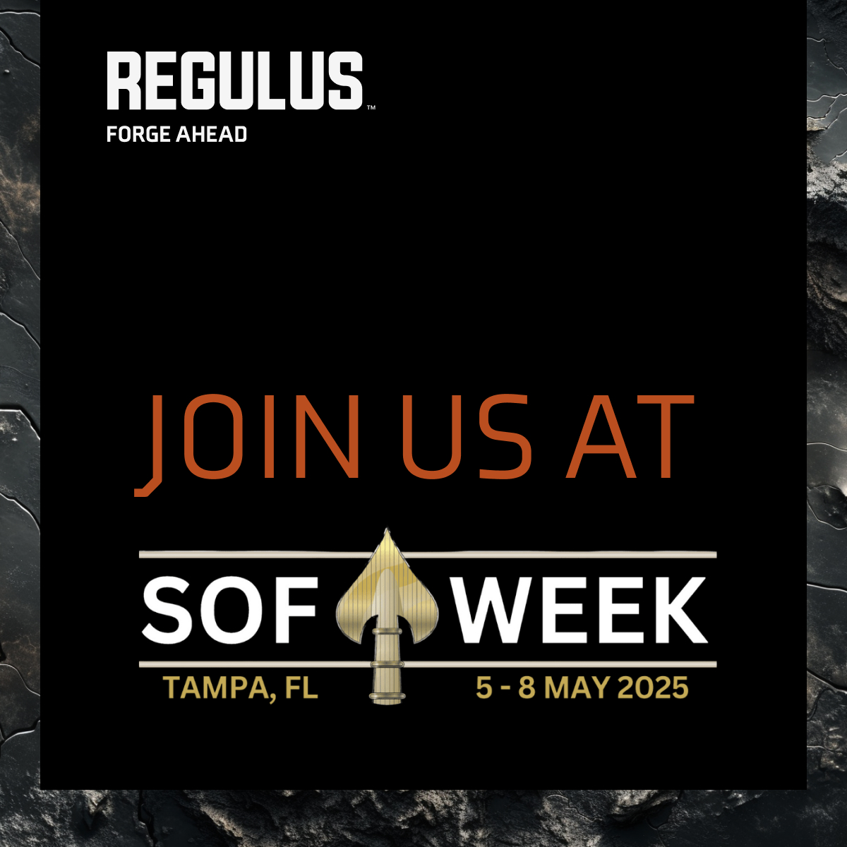 Startseite - Regulus Global