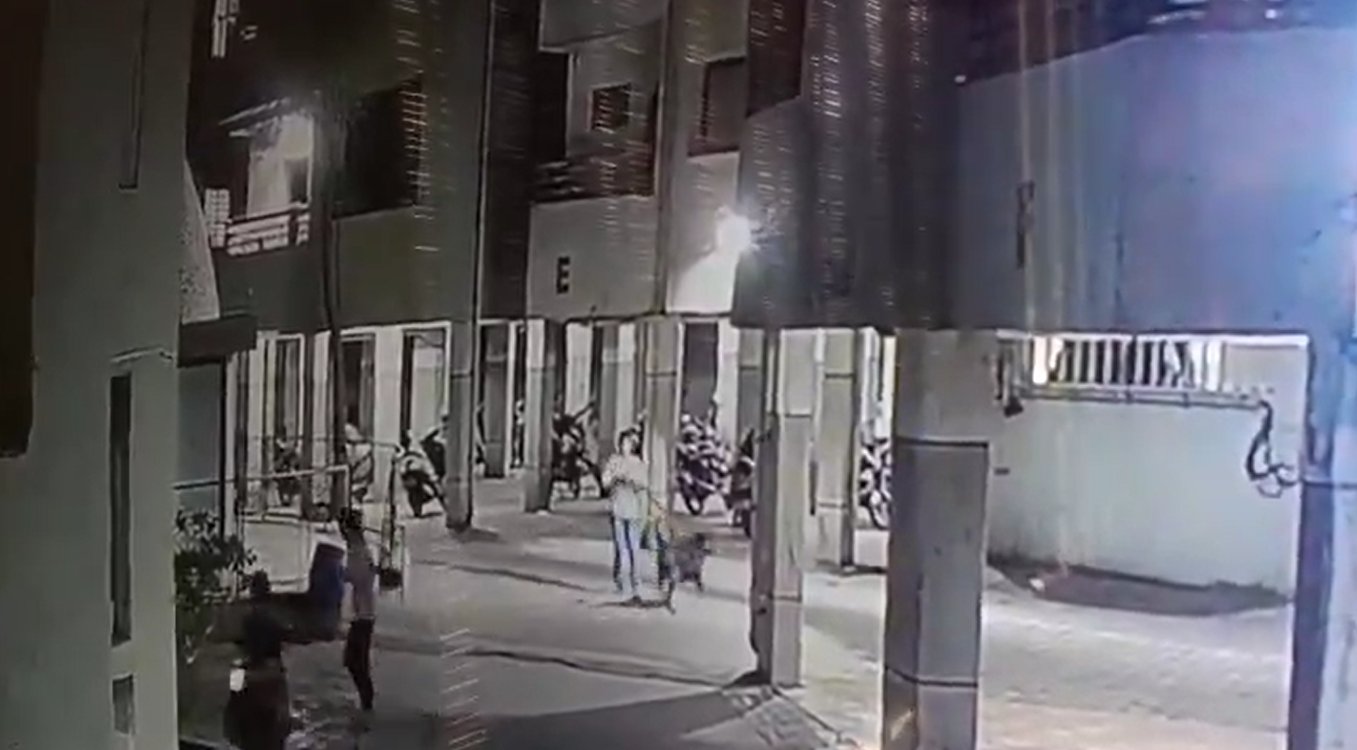 Pet Rottweiler mauls 4-month-old baby to death in Ahmedabad; CCTV footage goes viral | DeshGujarat