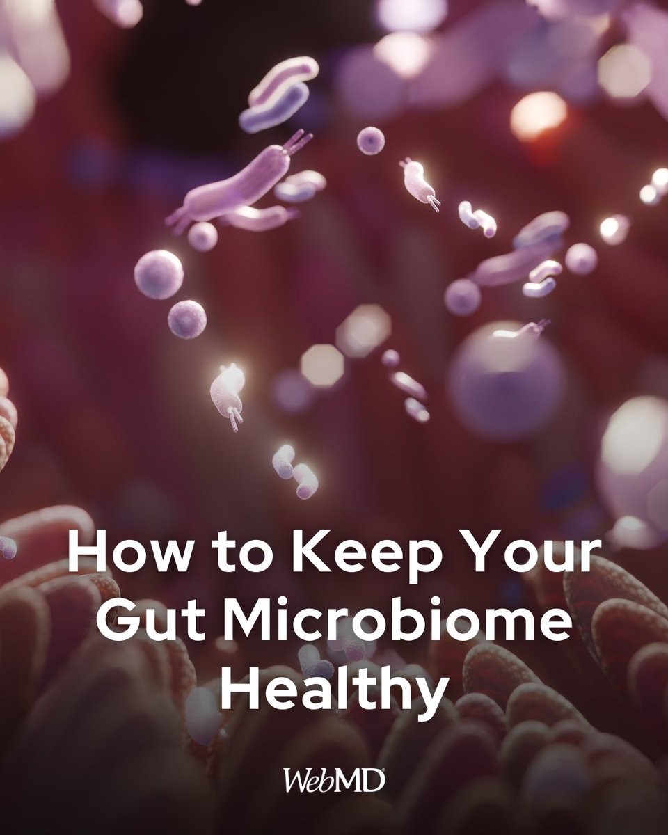 Dr. Sabine Hazan Highlights Gut Microbiome’s Role in Autism, Long COVID, MS; Vitamin B3 and ...