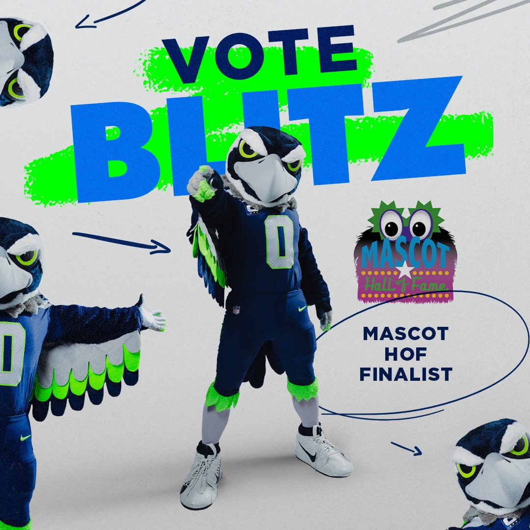 Seahawks Mascot Costume