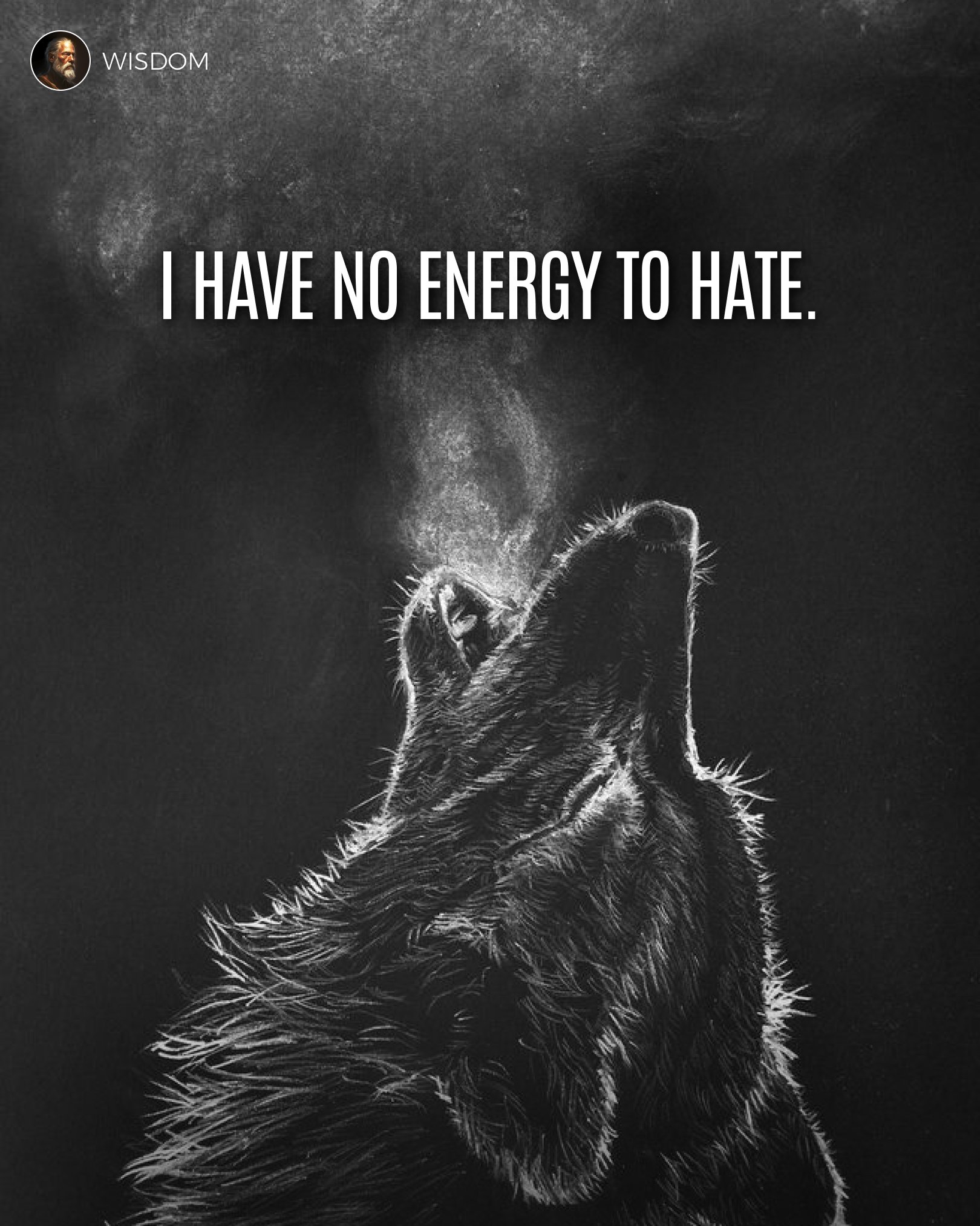 Lone Wolf Wallpaper Wisdom