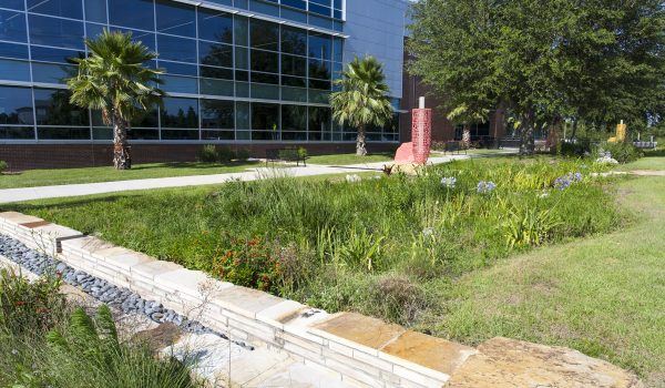 Navigating Florida Land Use and Cover with FLUCCS Codes - The ...