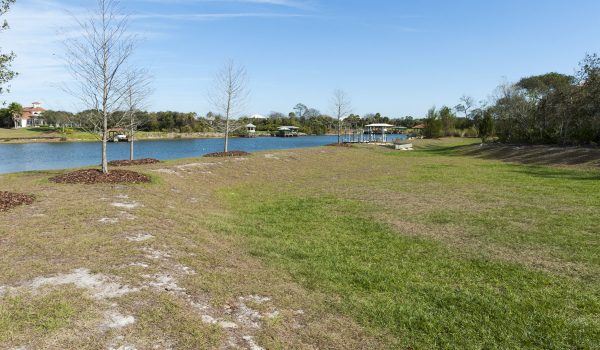 Navigating Florida Land Use and Cover with FLUCCS Codes - The ...