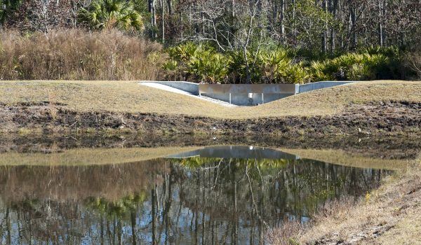 Navigating Florida Land Use and Cover with FLUCCS Codes - The ...