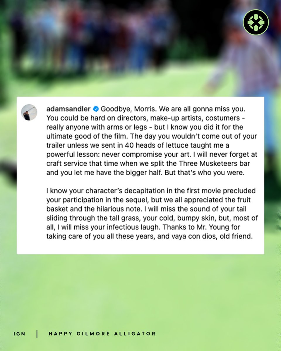 Morris, 'Happy Gilmore' Alligator, Dies at 80, Weighed 640 Pounds at ...