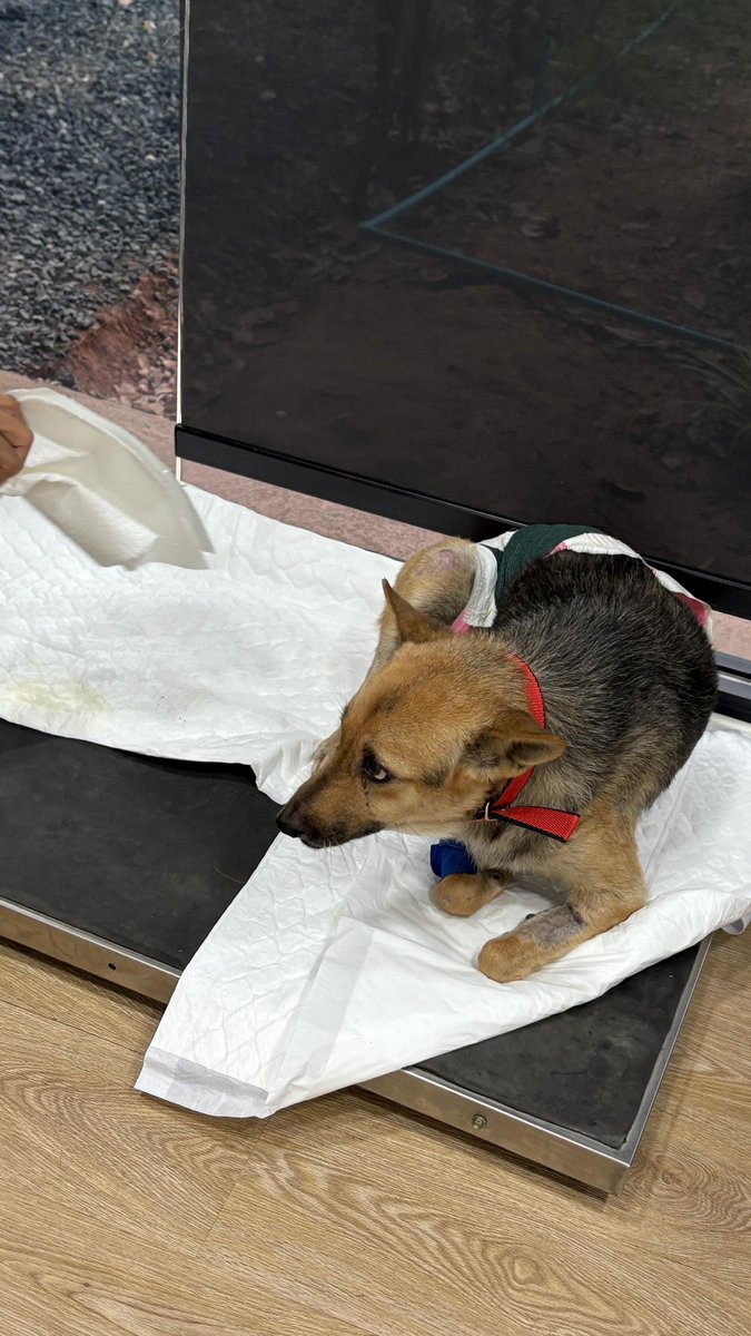 Niall Harbison's Threads – Thread Reader App