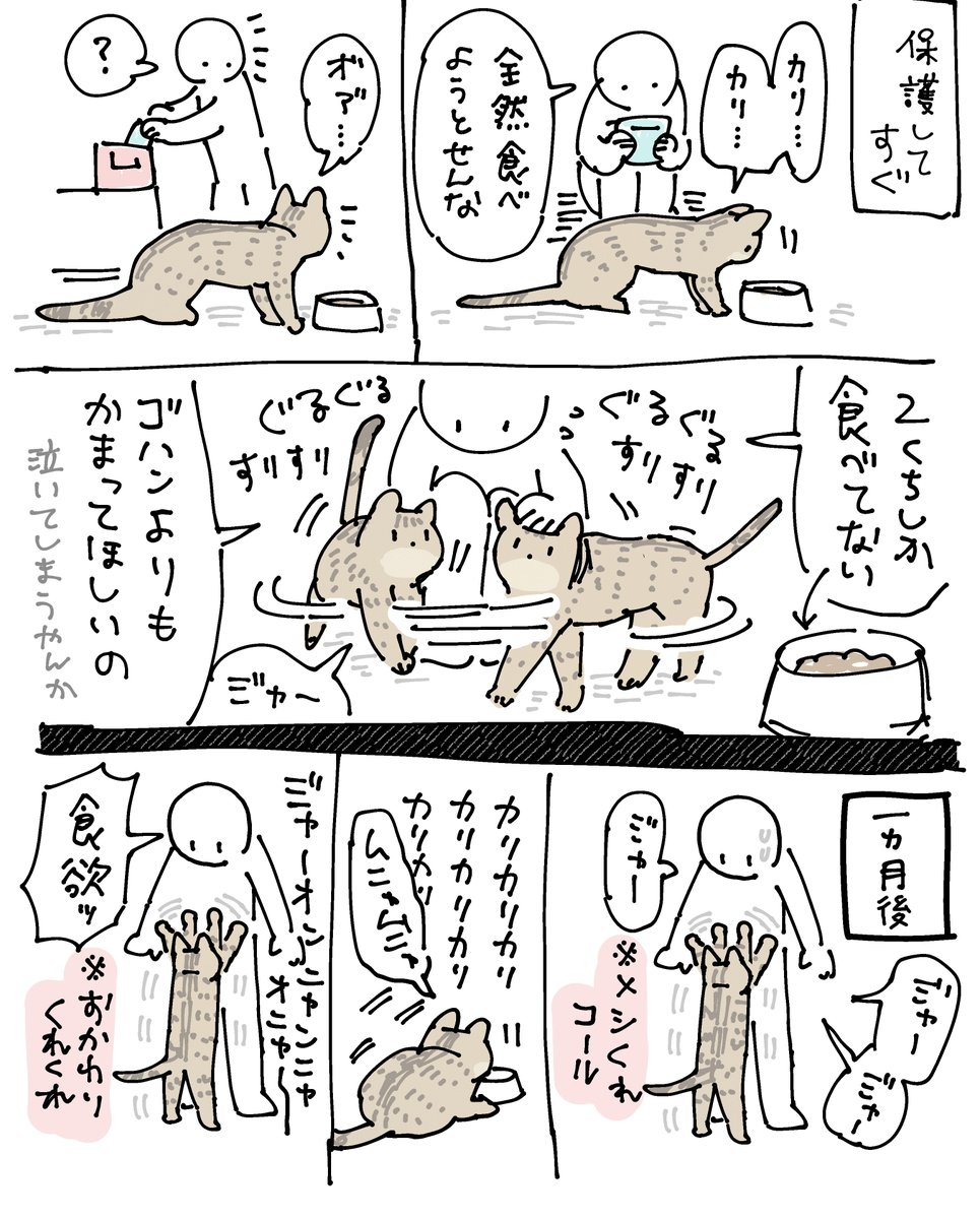 「またもや手書き絵日記まとめです 〜しんば編〜 [1/10] 」AKR🌱7巻でますの漫画