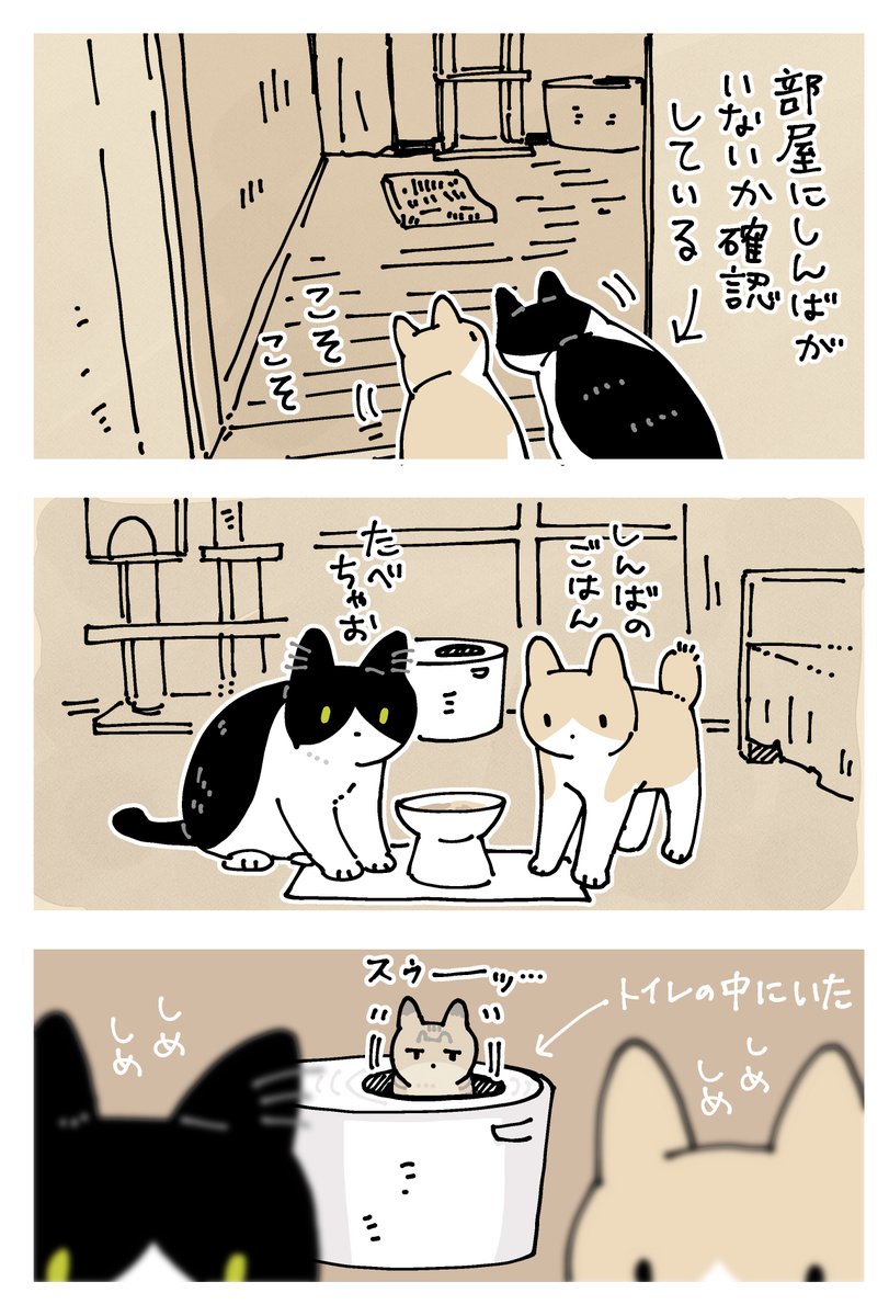 6/10] 先住猫の洗礼 」AKR🌱7巻でますの漫画