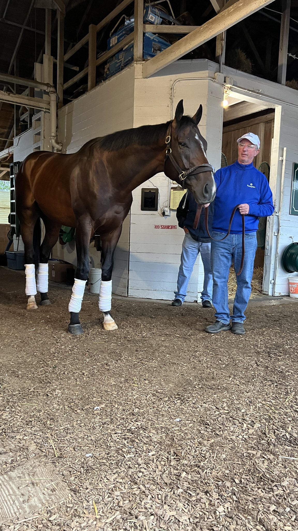 Who won the Kentucky Derby? Sovereignty wins the 151st Kentucky Derby ...