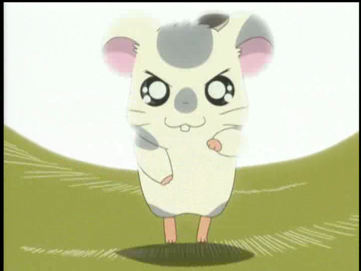 Hamtaro Pepper
