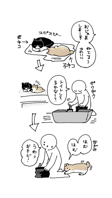 AKR🌱7巻でます@bou128の漫画作品一覧