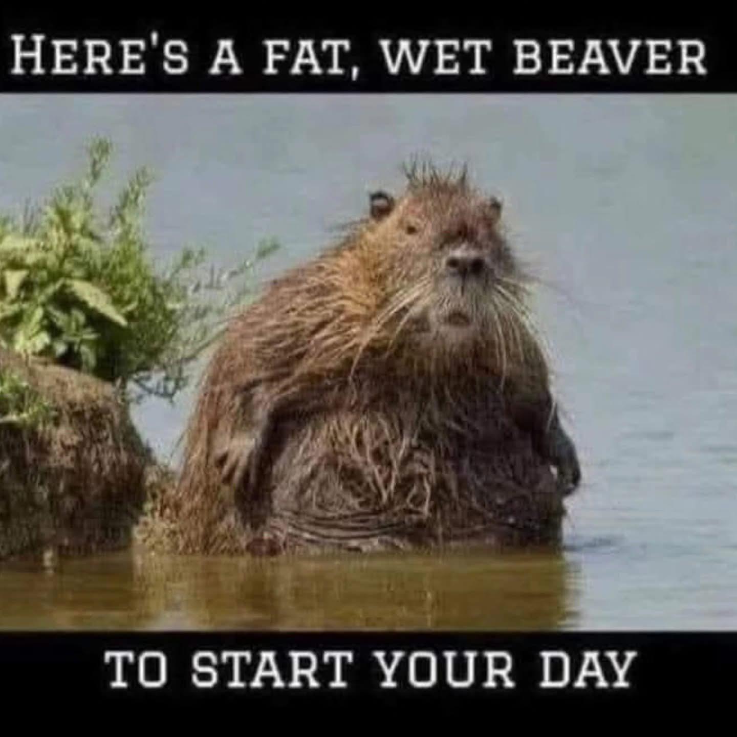 Youre Gross Meme Ron Burgundy Meme Imgflip