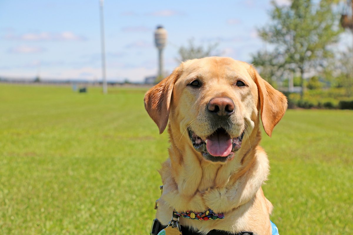 MCO Cares | Helping MCO Employees to Deliver Exceptional Customer Service