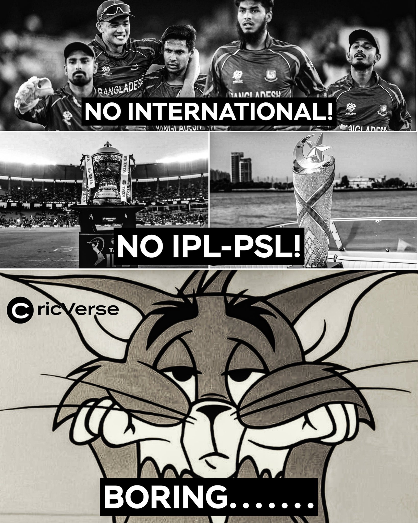 Cricket Boring Memes