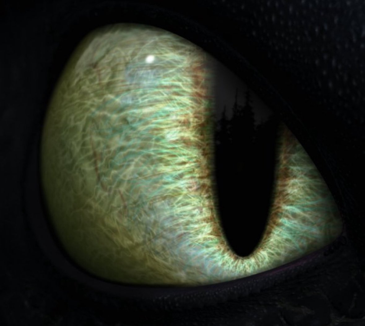 Toothless Dragon Eyes