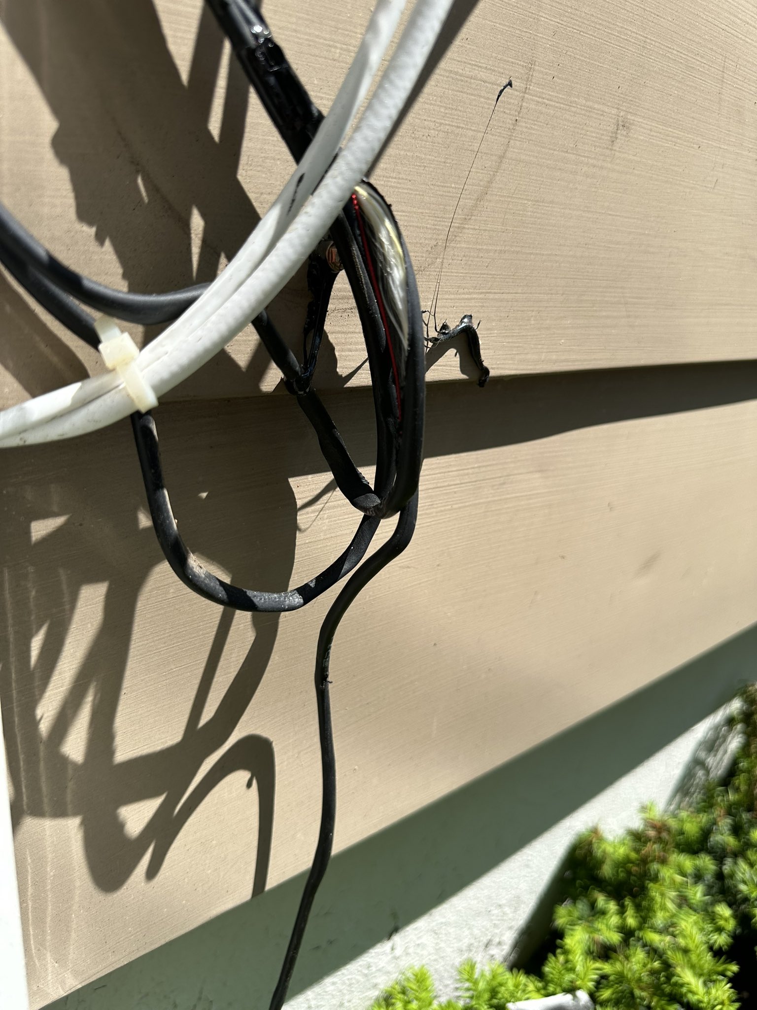 Melted Fire After Windows