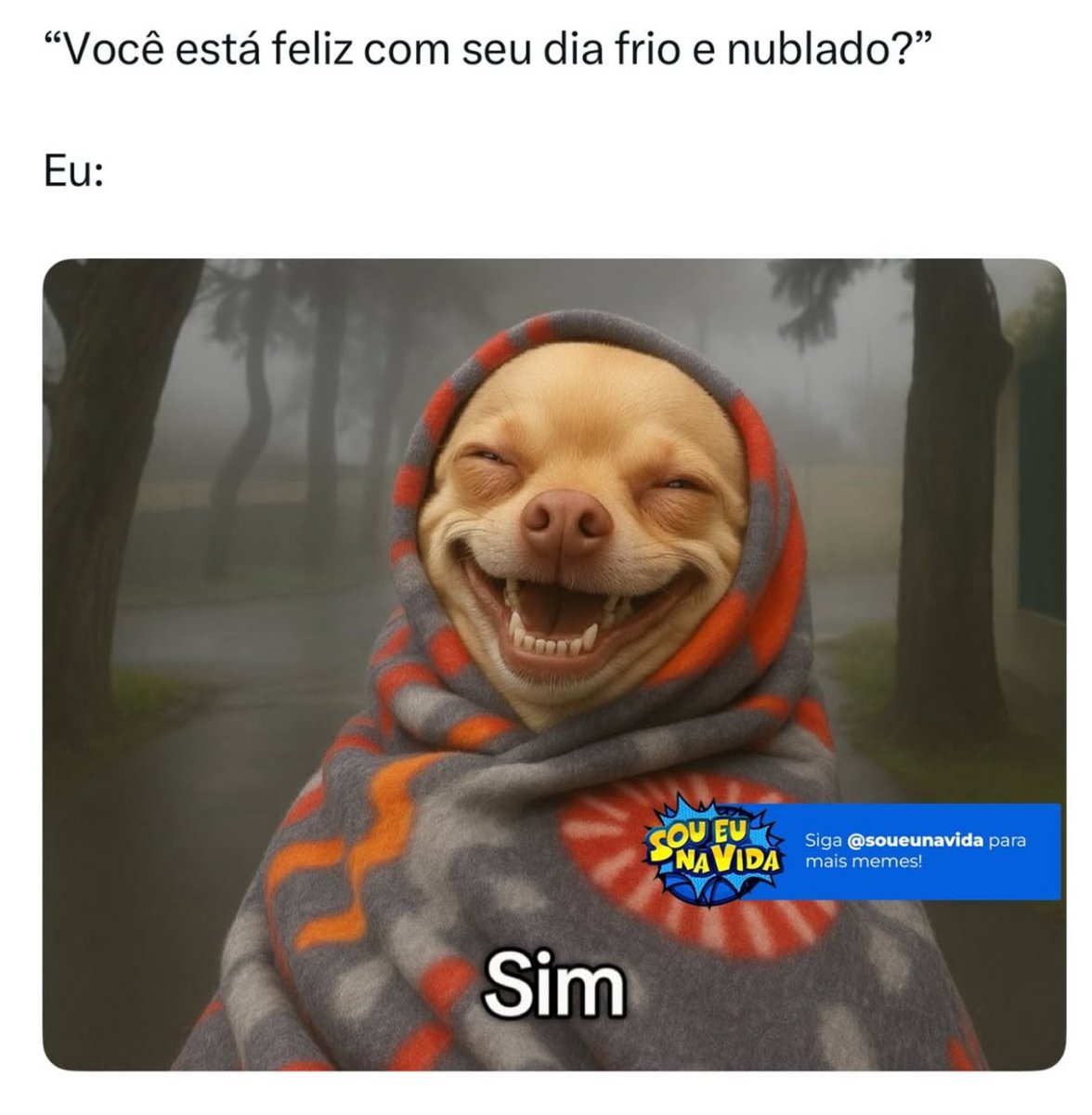 Memes Para Frio Los 10 Memes Más Divertidos Sobre El Frío En Este
