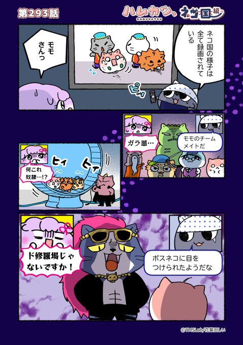 ╭━━━━━━╮ ネコ国編 ╰━ v ━━━━╯ 「ド修羅場💥.. | TMSLab(トムスラボ) さんのマンガ | ツイコミ(仮)