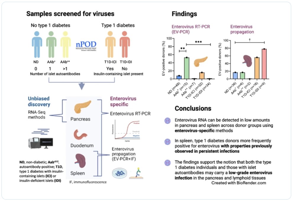 New EASD-ADA consensus guidelines on managing hyperglycaemia in type 2 ...