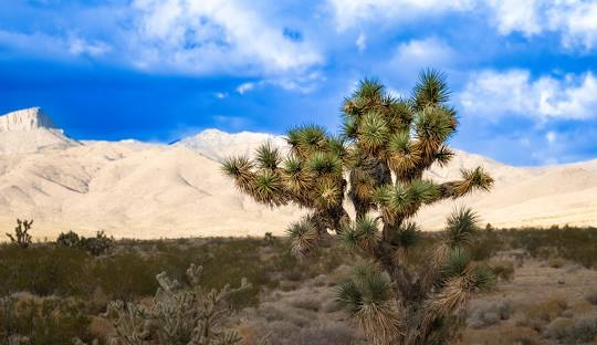 Thread by @actsofapostles_ on Thread Reader App – Thread Reader App