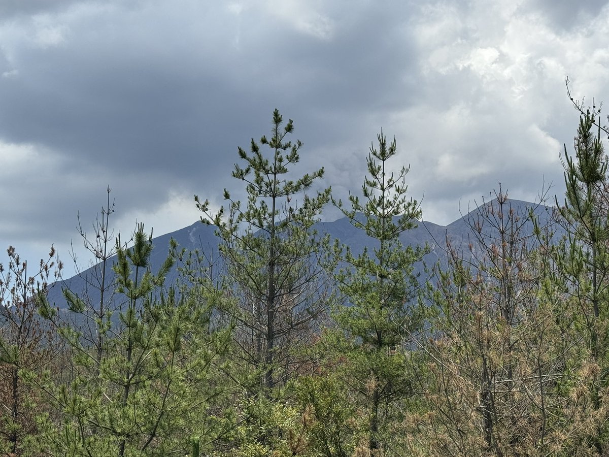 Ryusuke IMURA(@tigers_1964) - Twilog (ツイログ)