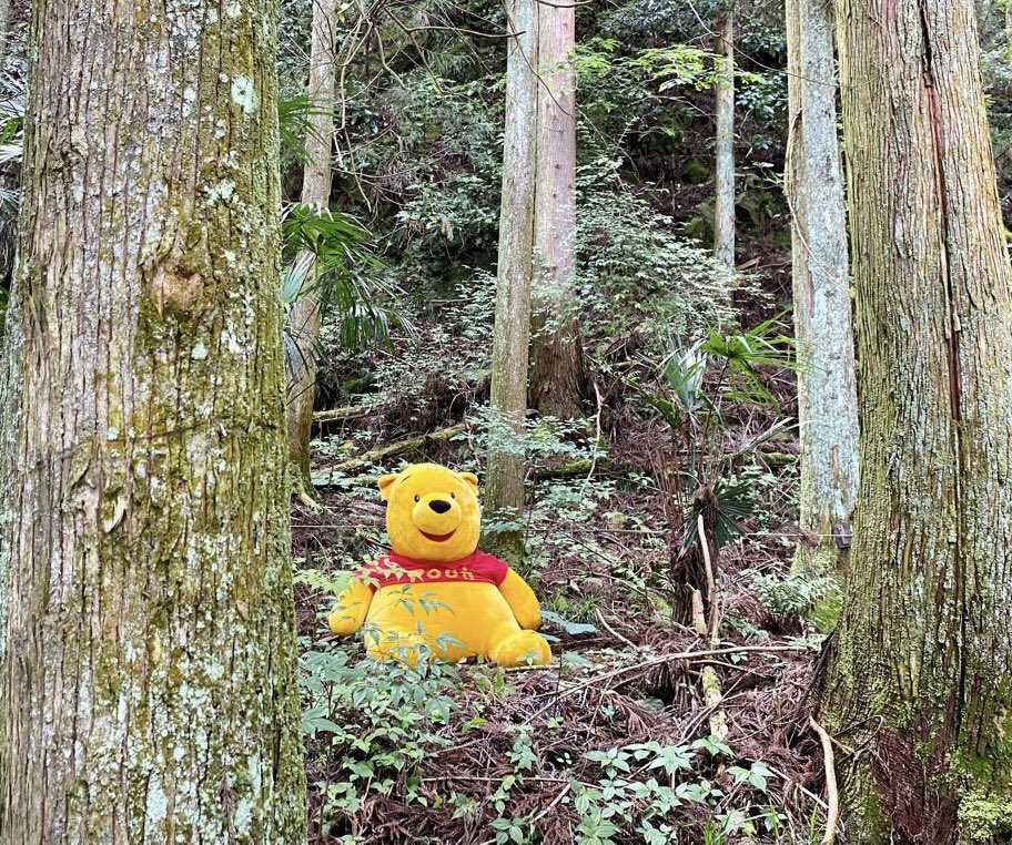 道路にクマ「めっちゃ見てる」出没相次ぐ [582792952]