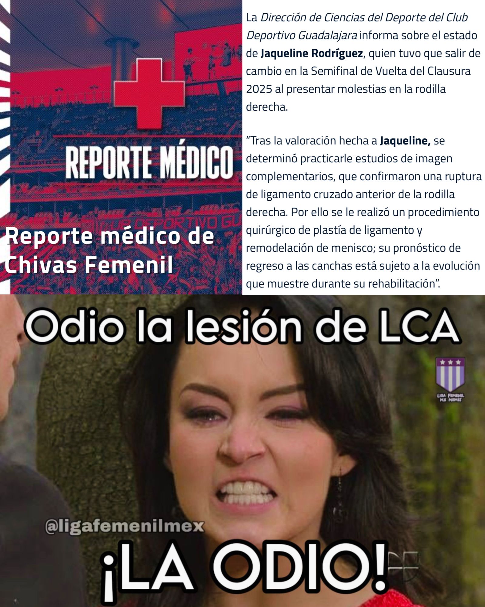 Memes Rodilla