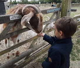 Shortstown Primary School