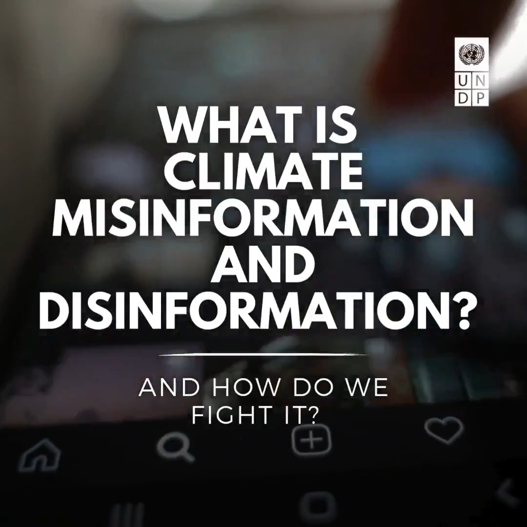 Misinformation Quotes