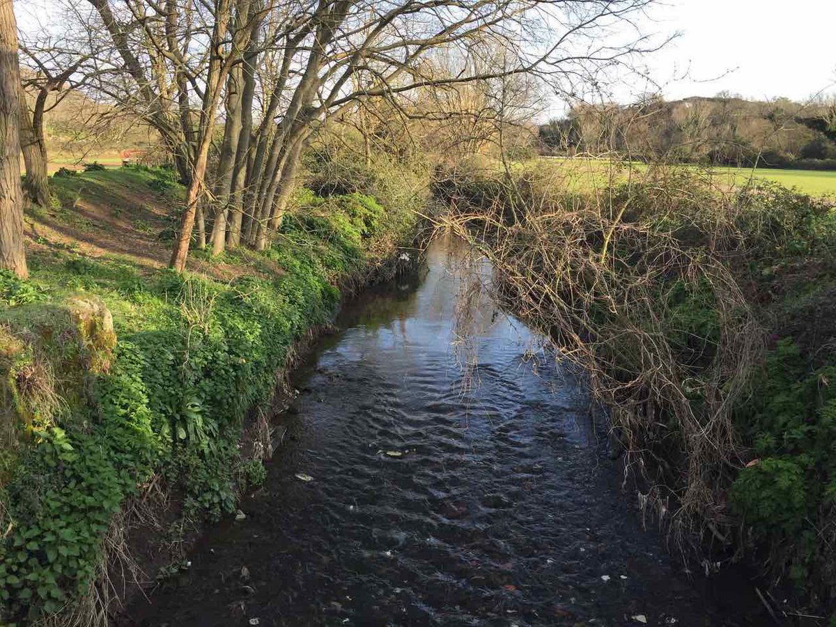 Thread by @CDorado75 on Thread Reader App – Thread Reader App