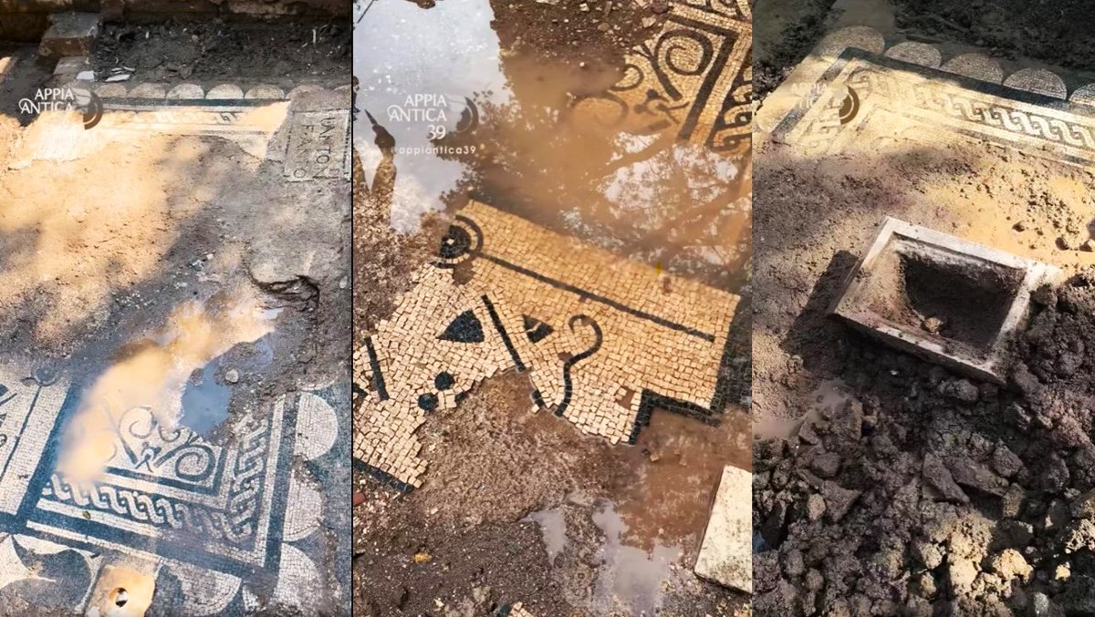 Thread by @CDorado75 on Thread Reader App – Thread Reader App