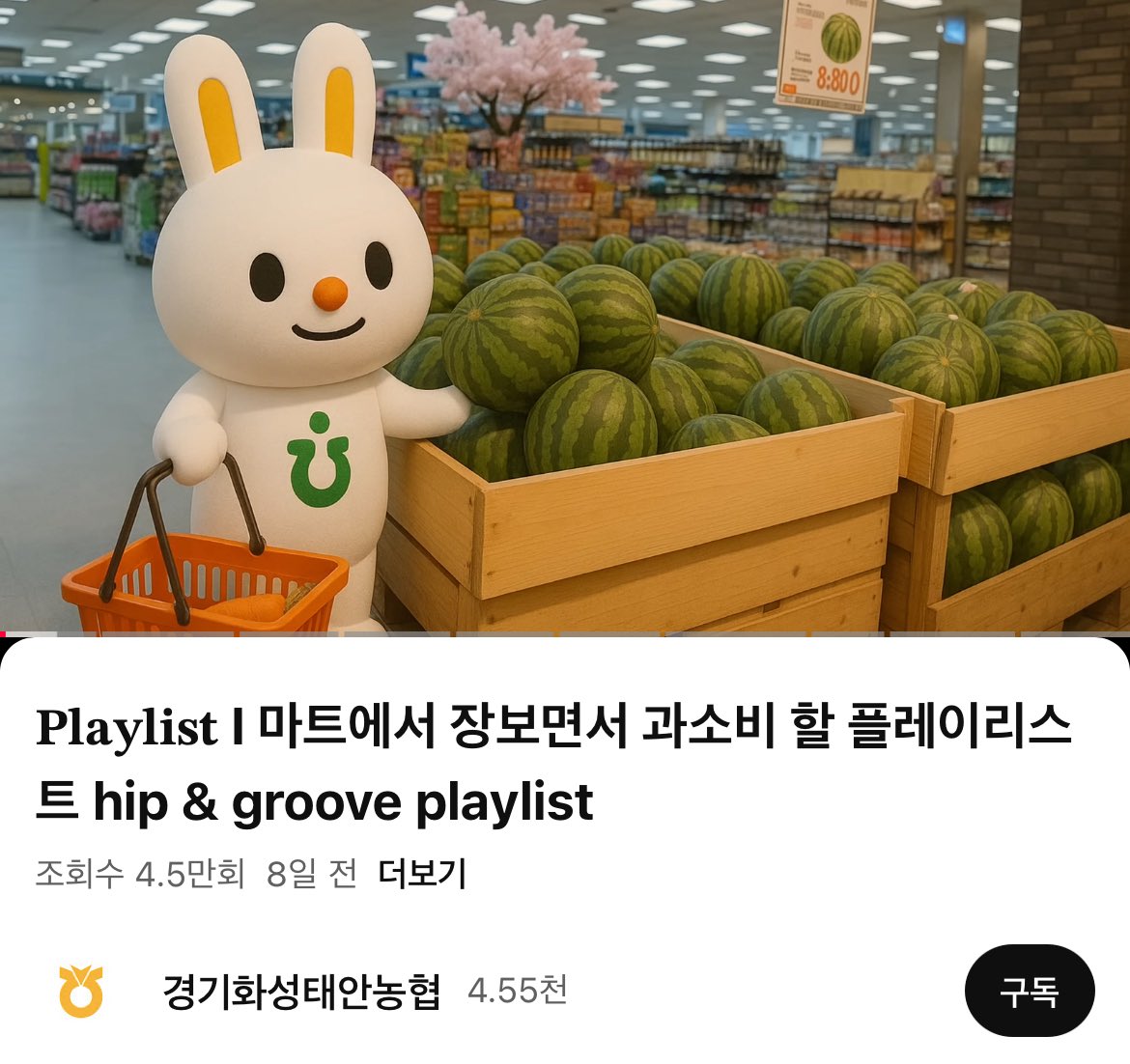 마트에서 장보면서 과소비 할 플레이리스트 hip & groove playlist - 오리광장 - 뉴덕