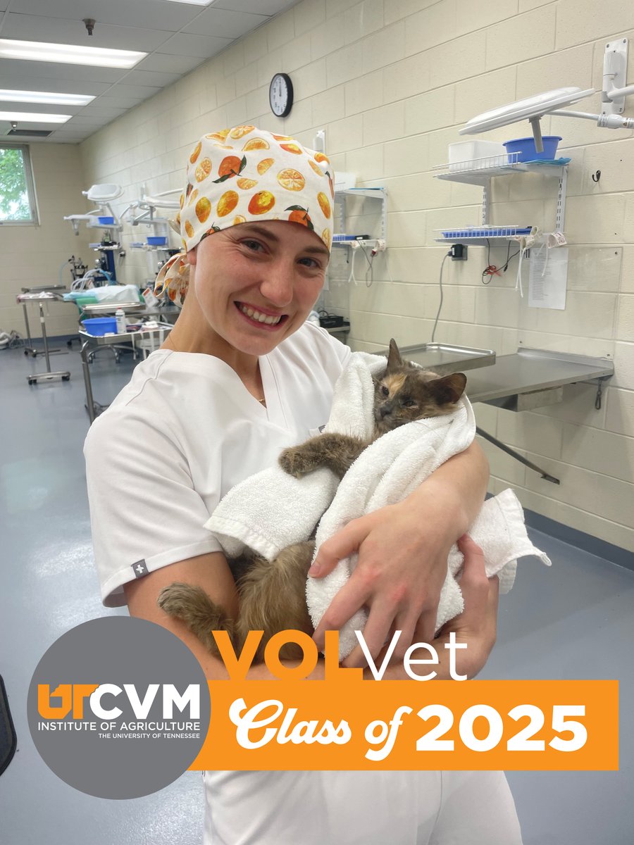 University Of Tennessee Veterinary Medical Center Veterinary School